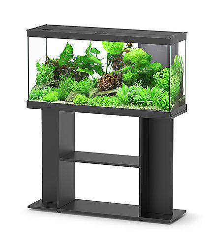 Aquadisio - Aquarium Alto 100cm - Noir | Animalis