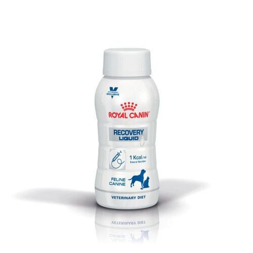 Royal Canin - Lait Veterinary Diet Recovery Liquid Pour Chiens et Chats ...