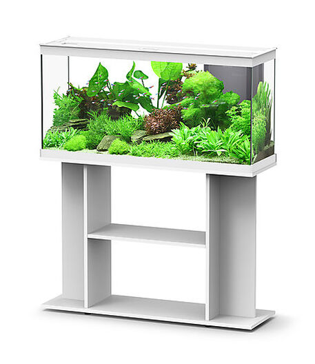 Aquadisio - Aquarium Alto 100cm - Blanc | Animalis