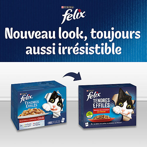 FELIX - Sachets Fraîcheur Tendres Effilés en Gelée Sélection Mixte pour ...