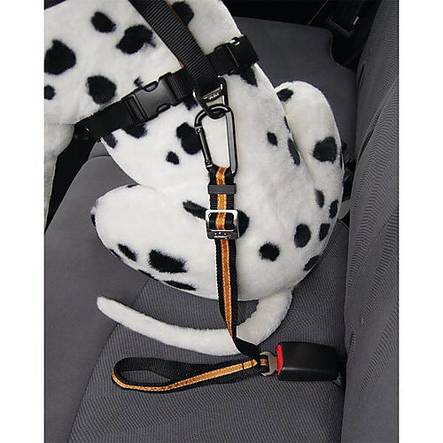 Kurgo - Attache Ceinture de Sécurité Voiture Tether pour Chien - Orange ...